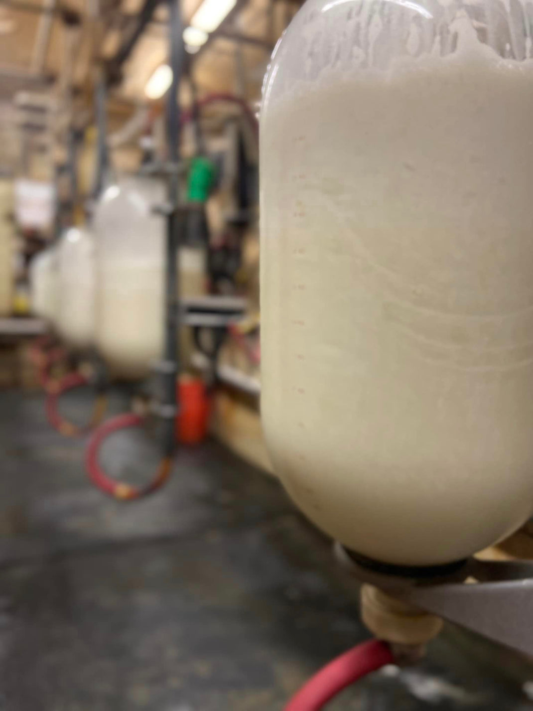 Our Farm – Mumford Dairy & Meat